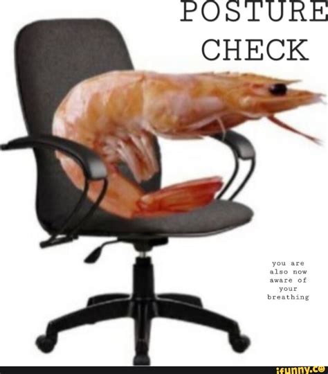 Posture Memes Best Collection Of Funny Posture Pictures On Ifunny