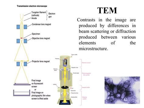 Microscopic Techniques Ppt