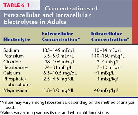 What Is Electrolyte Balance Lab Test At Stephanie Reynolds Blog