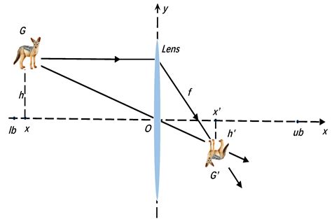 Applied Sciences Free Full Text A Hybrid Golden Jackal Optimization