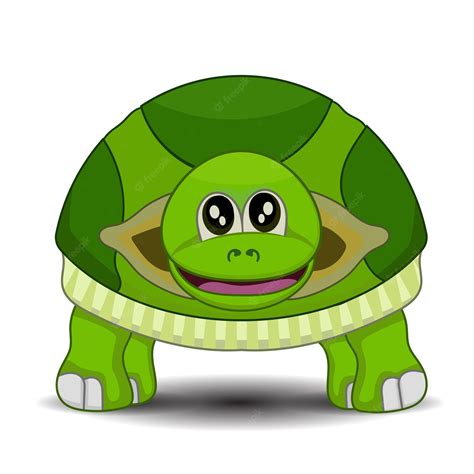 Premium Vector Cartoon Funny Turtle Front View Isolated On White Background