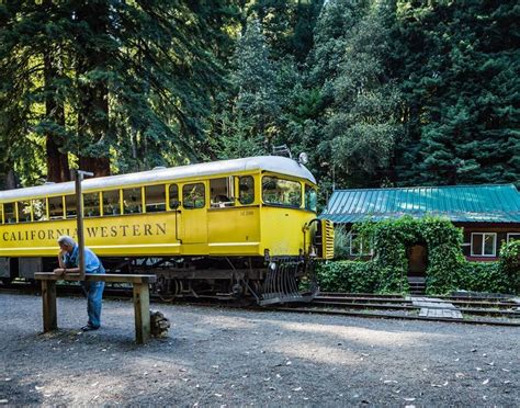 Are Dogs Allowed On The Skunk Train