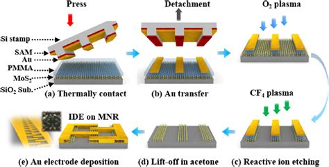 The Fabrication Schematic Of The Mnr Array A The Attachment Of A Download Scientific Diagram
