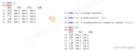 Pandas学习笔记（一）删除series某一行 Csdn博客
