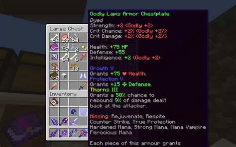 Godly Reforge Lapis Armor R Hypixelskyblock