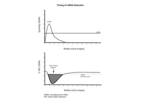 Circulating Tumor Dna As A Marker Of Minimal Residual Disease