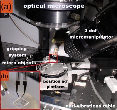 Figure 1 From Robotic Micromanipulation And Microassembly Using Monoview And Multiscale Visual