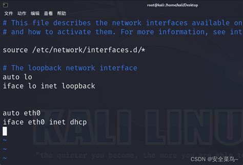 Kali 网络配置kali设置自动获取ip Csdn博客 Kali 网络配置kali设置自动获取ip Csdn博客