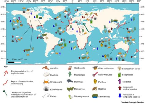 As Seas Get Warmer Tropical Species Are Moving Further From The Equator