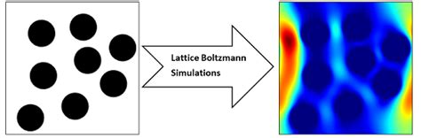 a data driven proxy to stoke s flow in porous media