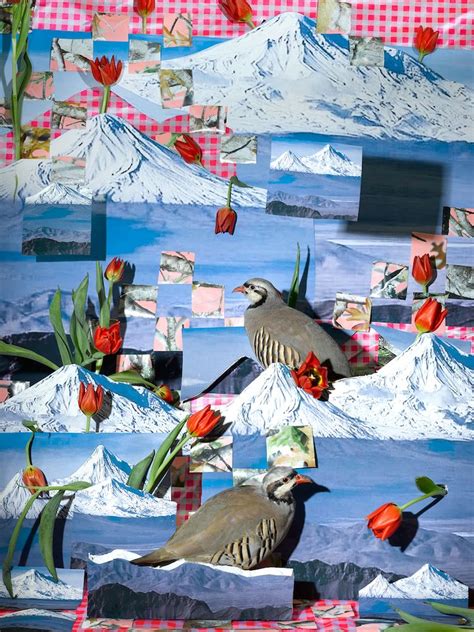Sheida Soleimanis Stories From The Edge Of Home Birds Of Passage