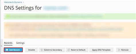 how to add dns records in plesk whuk