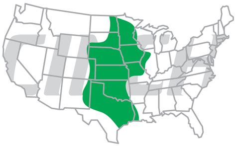 Mole And Gopher Information Cinch Traps The Best Mole And Gopher Trap