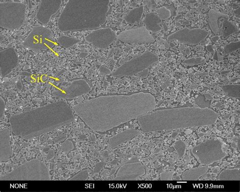 Sem Surface Observation Of Polished Rb Sic Download Scientific Diagram