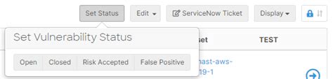 Vulnerability Statuses Kenna Faq