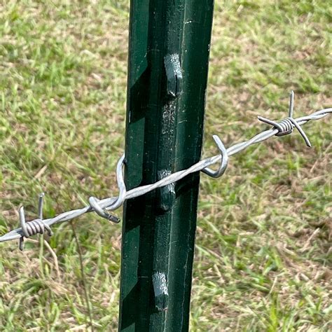 Decorative Barbed Fencing At Donna Willey Blog