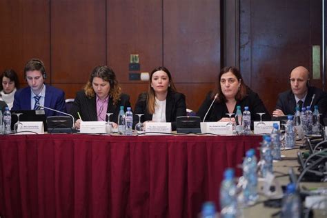 ეკატერინე მიქაბაძე ეკოინოვაციების და რესურეფექტური და სუფთა წარმოების განვითარება საშუალებას