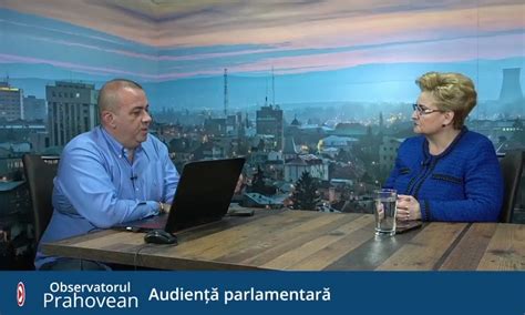 Grațiela Gavrilescu La Audiență Parlamentară Îmi Place Cum își Face