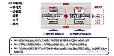 战略与执行 Ibm业务领导力模型（blm）