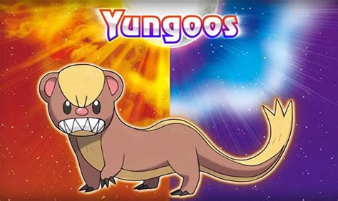 New Pokemon Yungoos Looks Just Like Donald Trump 20160615 Tickets