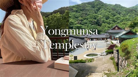 양평 용문사 2박 3일 템플스테이 브이로그 나홀로 템플스테이 Korea Templestay Vlog Youtube