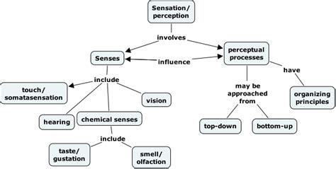 Ihmc Cmaptools Concept Map 6 Perception Sensation