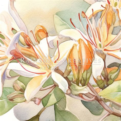 Vintage Honeysuckle Watercolor Painting Delicate Botanical Art
