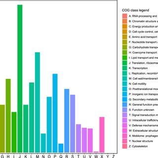 Distribution Of Clusters Of Orthologous Groups COGs For The Strain Download Scientific
