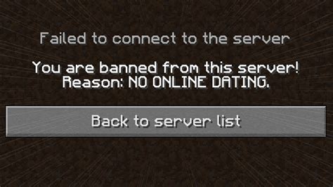 NO ONLINE DATING IN MINECRAFT YouTube