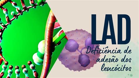 Deficiência De Adesão Dos Leucócitos Youtube