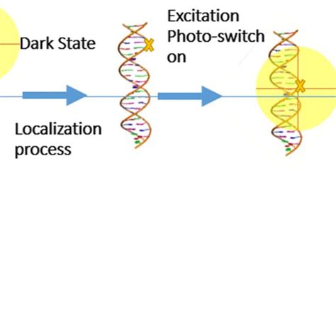 Principle Of Single Molecule Localization Based Super Resolution