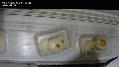 Bread 4 Object Detection Dataset By Bred