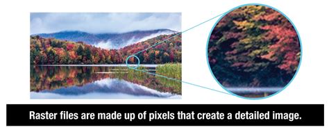 pixels and paths navigating the world of vector and raster files ata