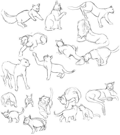 Discover 78 Warrior Cats Bases And Cat Drawing Tutorial Ideas Cat