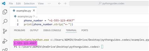 How To Use The Strip Function In Python