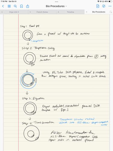 Bio Lab Procedures Flashcards Quizlet