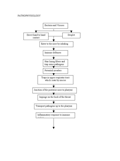 Pathophysiology Urti Pdf Immunology Respiratory System