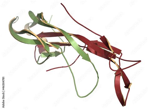 Follicle Stimulating Hormone Fsh Molecule Chemical Structure Stock