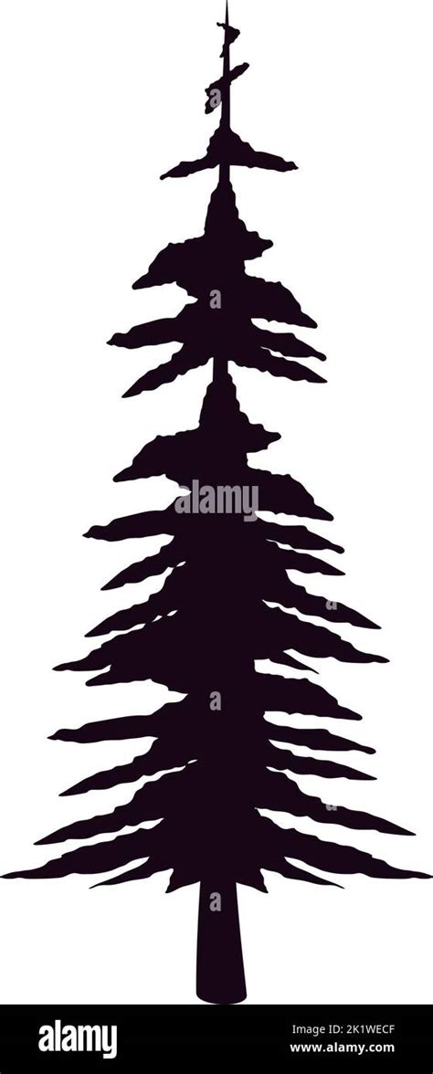 Pine Tree Forest Stock Vector Image And Art Alamy