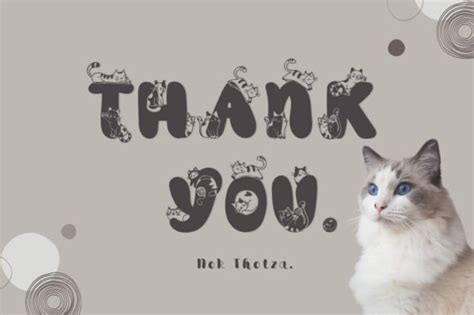 meow decorative font free font