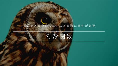 【対数関数の定義と性質】グラフからわかる重要性質と問題への使い方を徹底解説！ 青春マスマティック