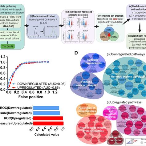 Machine Learning Approach To Identify New Pathways And Genes