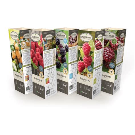 Raspberry Assortment Degroot Raspberry Assortment Degroot