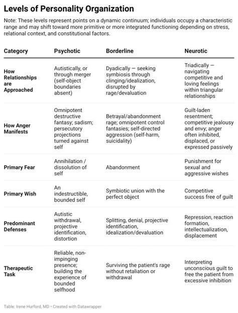 Levels Over Labels The Borderline Personality Organization