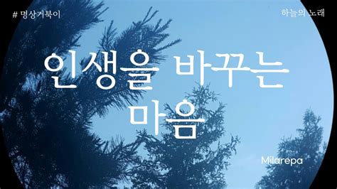 마음의 이해 수행 명상거북이 깨달음 인생조언 삶의 지혜 좋은 글 추천도서 마음공부 오디오북 Youtube