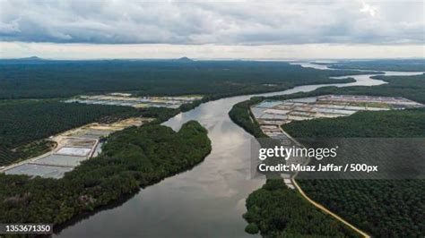 Johor River Photos And Premium High Res Pictures Getty Images