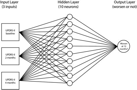 Schematic Representation Of The Final Model Of The Shallow Neural