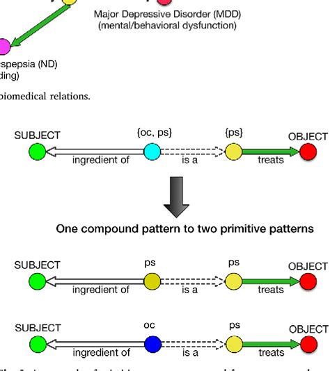Figure 2 From Exploiting Semantic Patterns Over Biomedical Knowledge