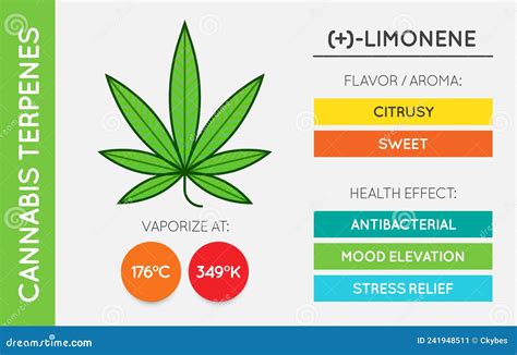Cannabis Terpene Information Chart Aroma And Flavor With Health Benefits And Vaporize