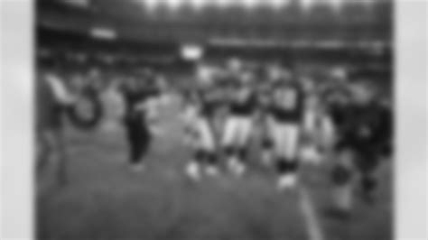 Photos Best Of Mike Vrabel